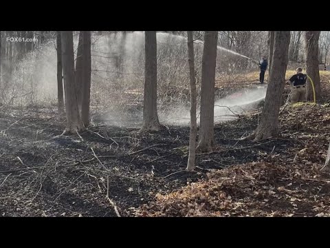 Risk of forest fires in Connecticut increases as spring approaches ...