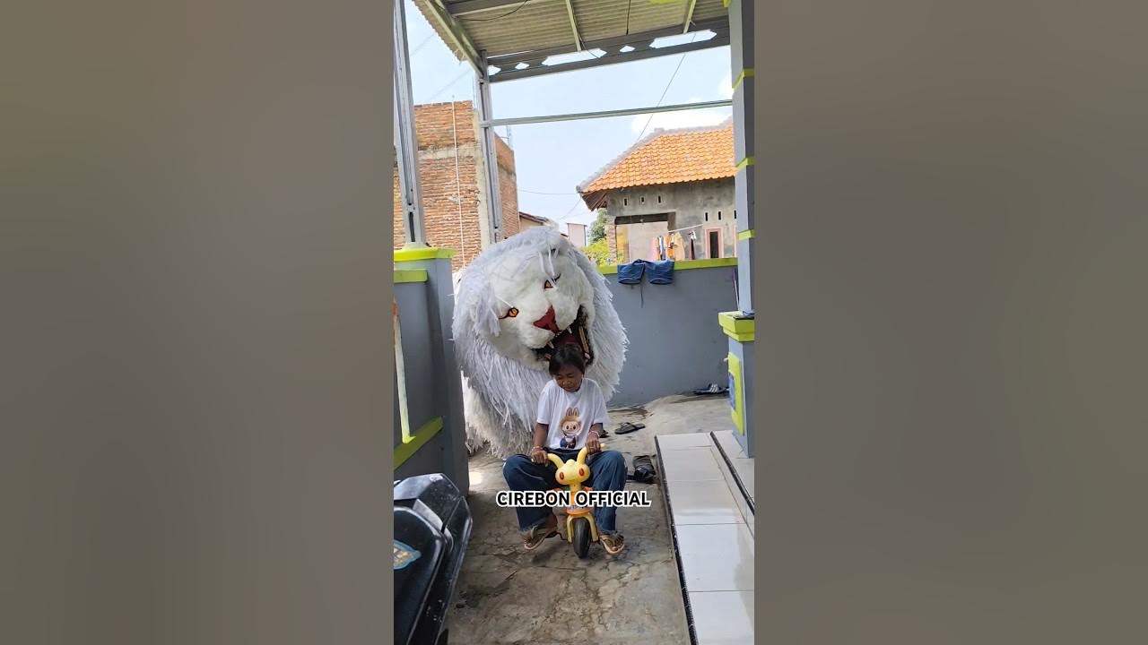 lagi naik sepeda di depan rumah cewe ini dimakan can macanan dari belakang - YouTube