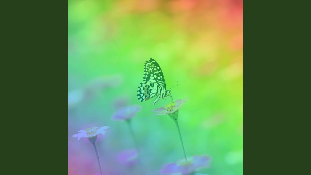 Soulful Backdrops for Infinite Days - YouTube