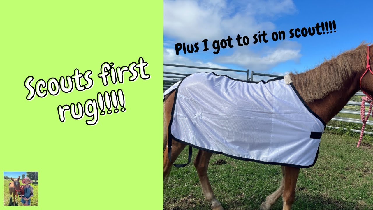 Scouts First Rug!!!!! - YouTube