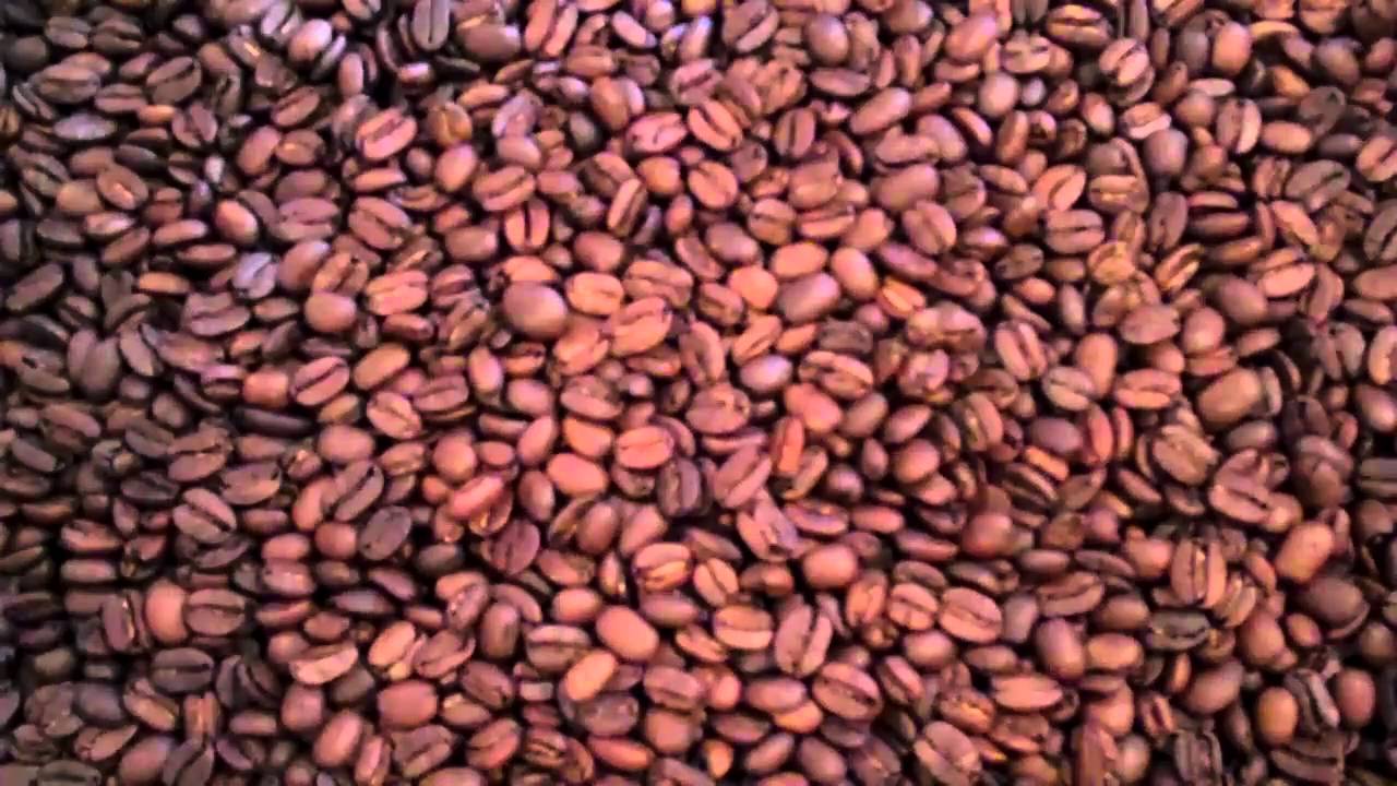 Sumatra Mandheling Harimau Tiger Fresh Roasted Coffee Beans - YouTube