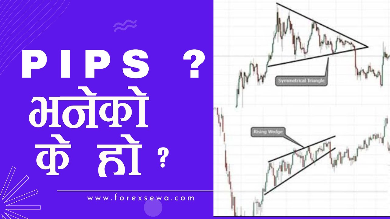 What is Pips ? | PIPS भनेको के हो ? | Forex Trading Training - YouTube