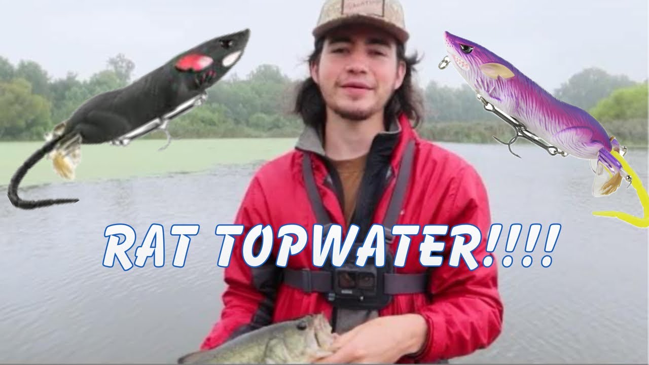 Fishing With Giant Rat Lure!!! (Fishlab BBZ Bio Rat) - YouTube