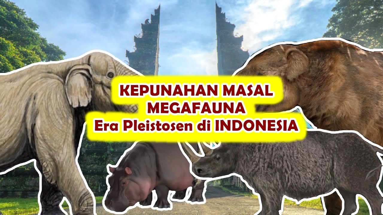 Mengapa Hewan Prasejarah di Indonesia Punah? Kepunahan Masal MEGAFAUNA ...