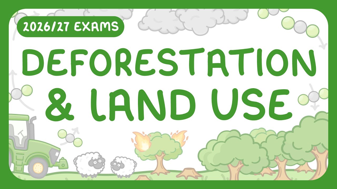 GCSE Biology - Deforestation & Land Use (2026/27 exams) - YouTube