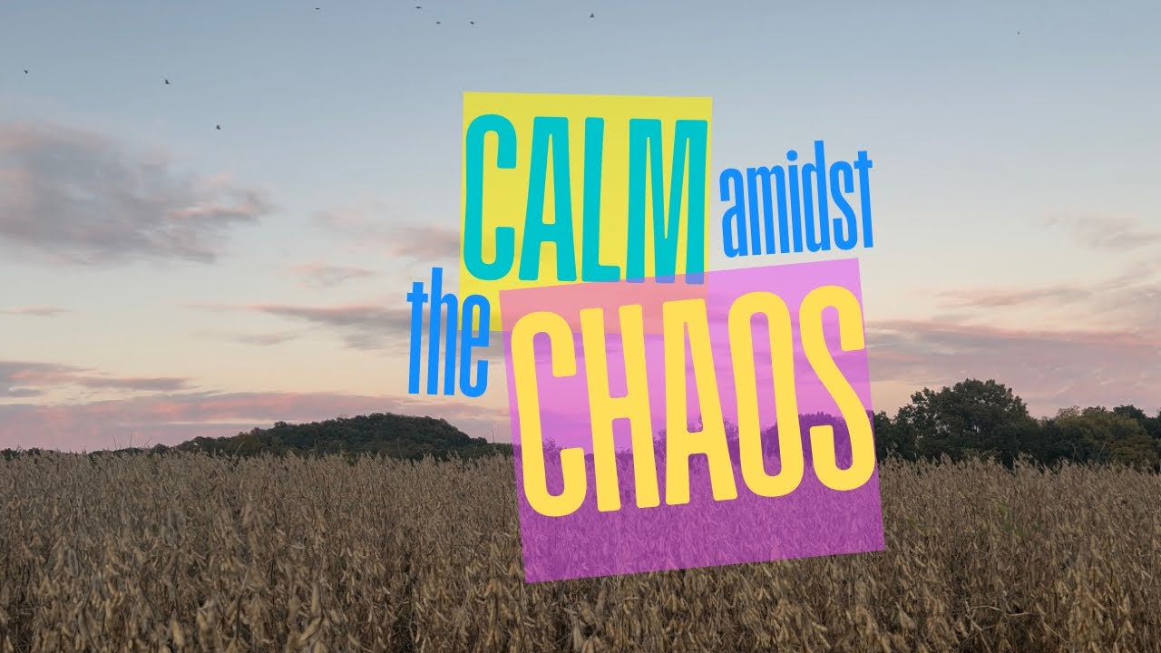 Calm Amidst the Chaos | Soothing Affirmations for Overwhelm - YouTube