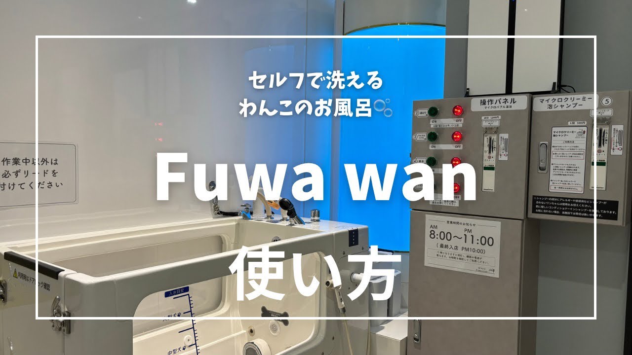 セルフで洗えるわんこのお風呂Fuwawan 🛁 - YouTube