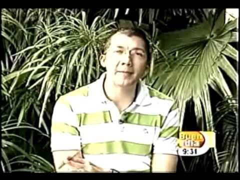 InfoMana TV 3  Final