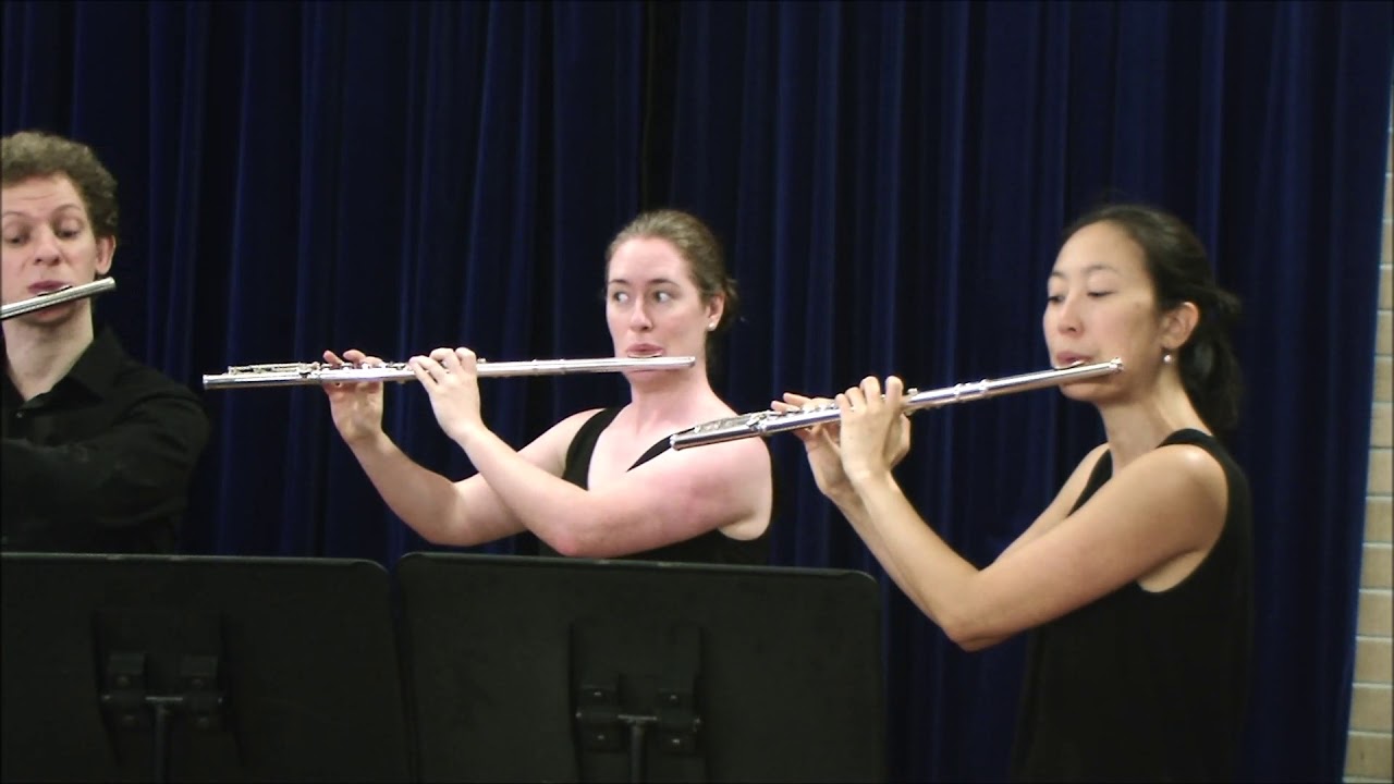 French Folk Song (Flute Trio) The Young Flute Player - YouTube