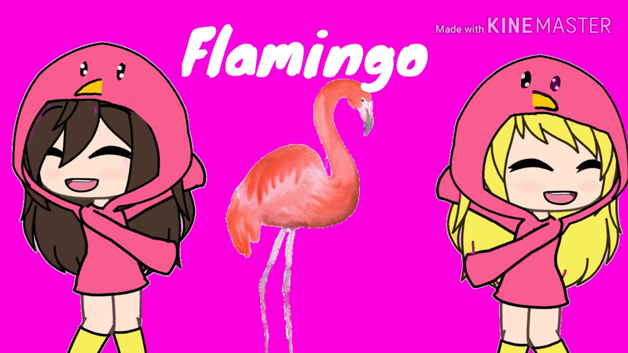 Flamingo Song - YouTube
