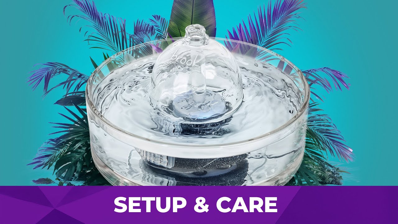 BROOK Glass Pet Fountain – Setup & Care Guide - YouTube