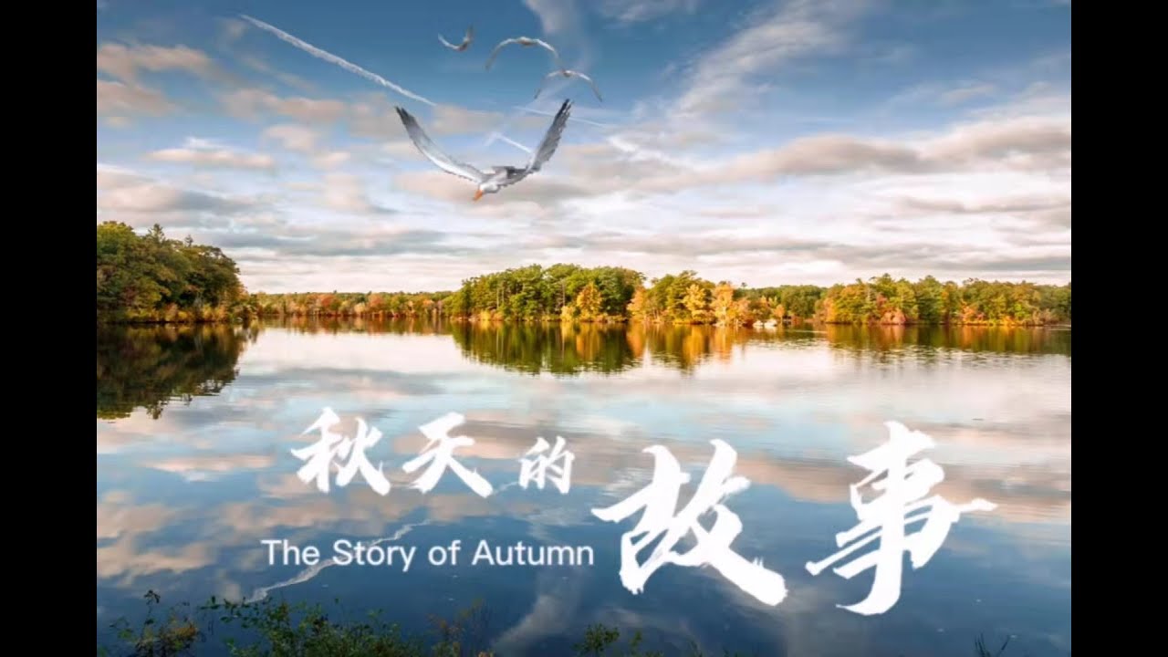 波士顿郊外的秋色 Boston area Autumn's color - YouTube