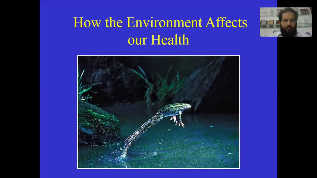 How Environment Affects our Health - YouTube