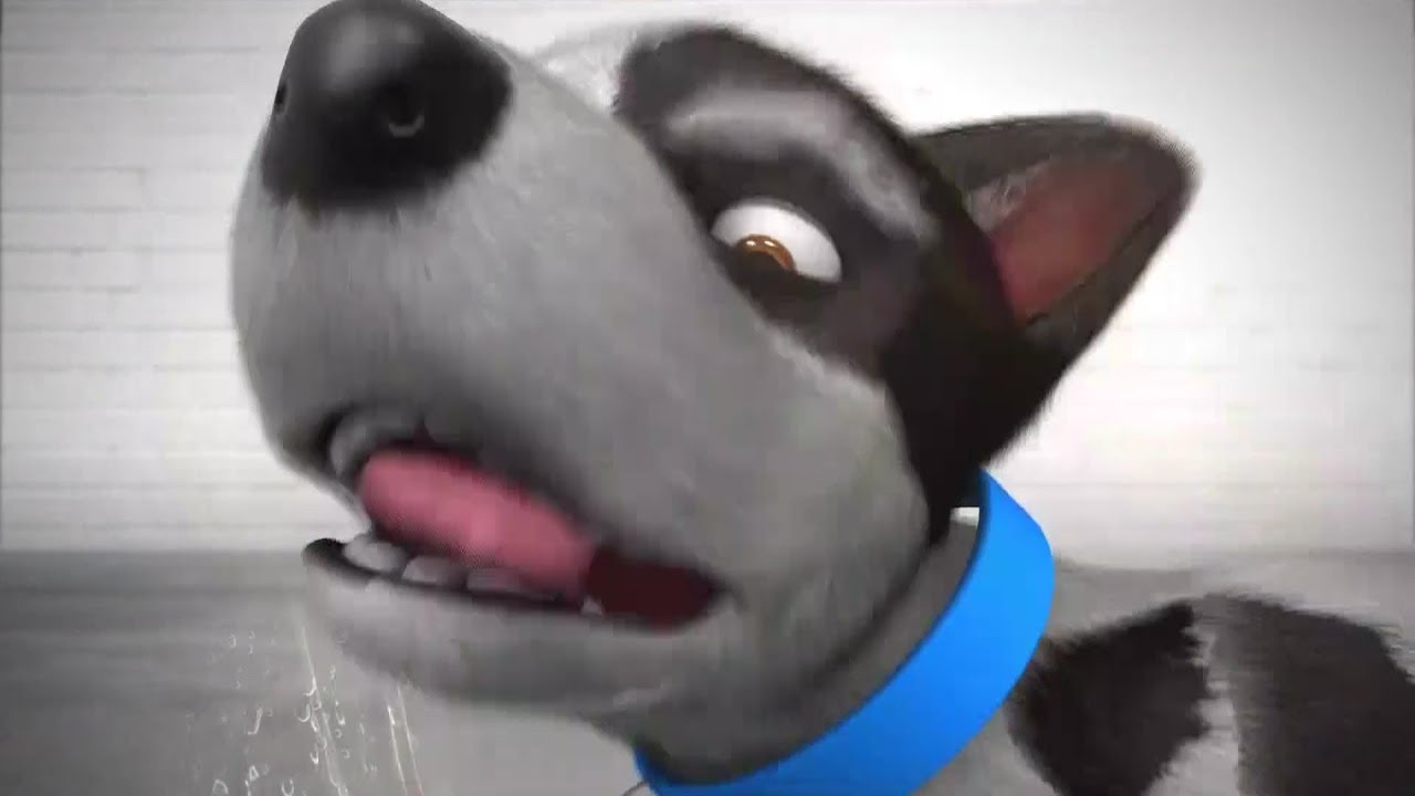 7mate Ident: Dog #2 (2017) - YouTube