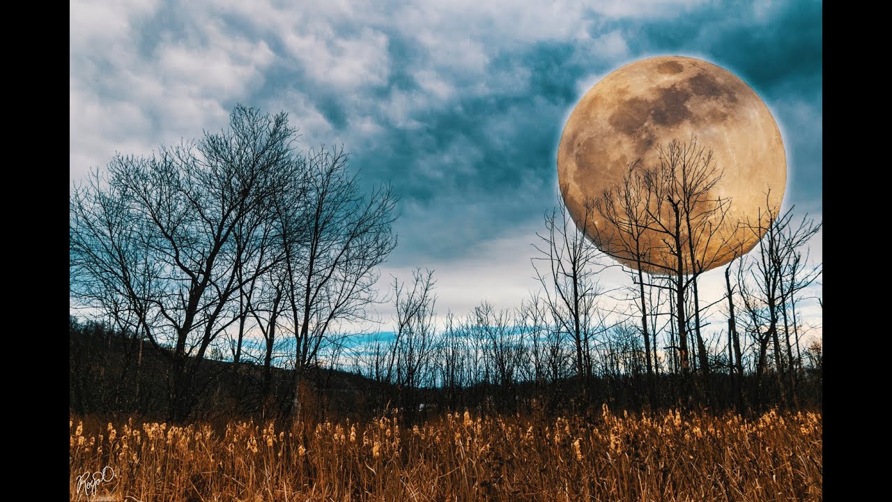 Mystic Moon Scenes with Meditative Music to Help You Fall Asleep Fast ...