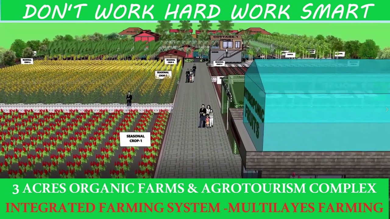 3 Acre organc farms and tourism complex - 3D Sketchup model Integrated ...