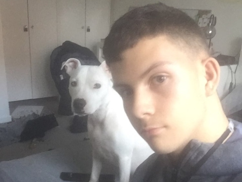 ciaran middleton Live Stream - YouTube