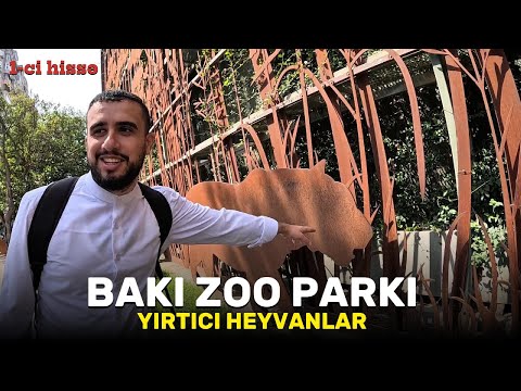 BAKI ZOO PARKI | YIRTICI HEYVANLAR (1-ci hissə)