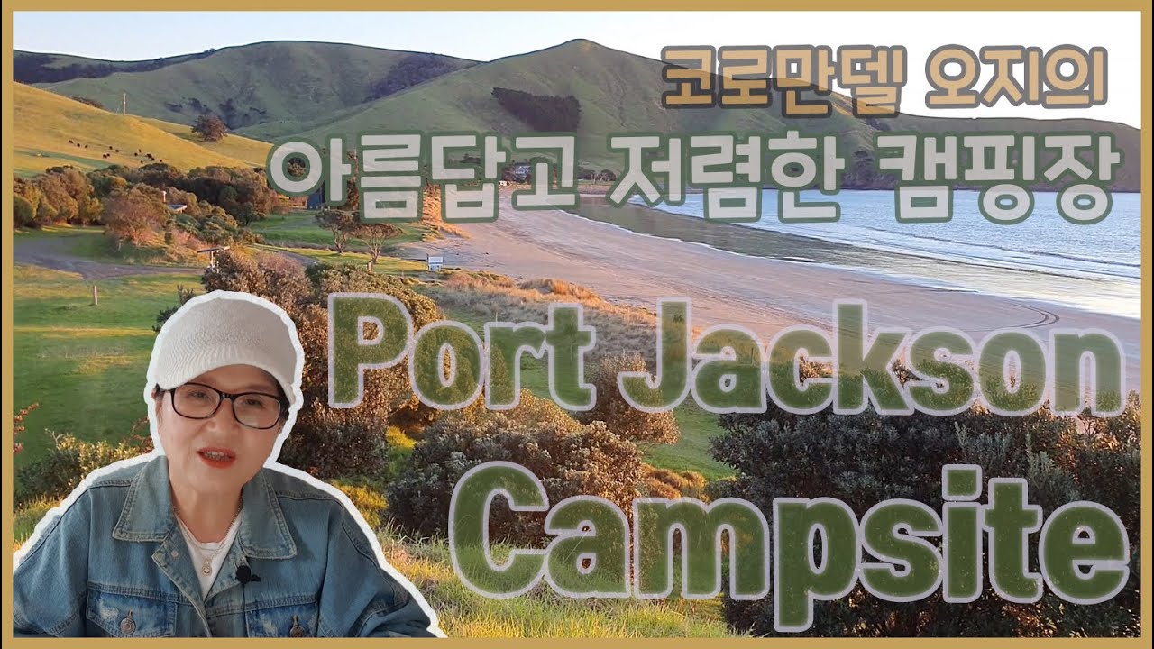 Port Jackson#Coromandel Peninsula#포트잭슨 캠프사이트 - YouTube