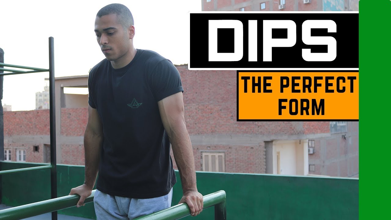 Master the Dips + Correct Your Form (الطريقة الصحيحة لتمرين المتوازي ...
