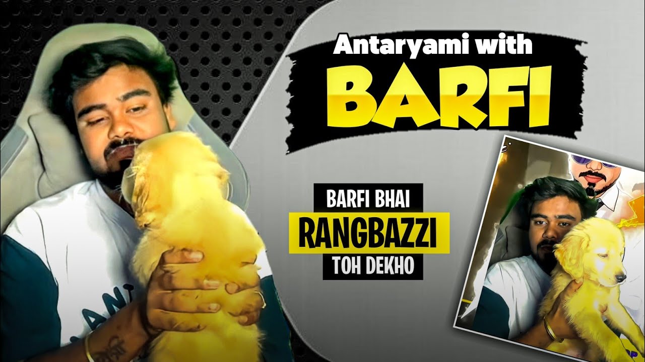 antaryami gaming & barfi | antaraymi dog barfi | storyhighlight # ...