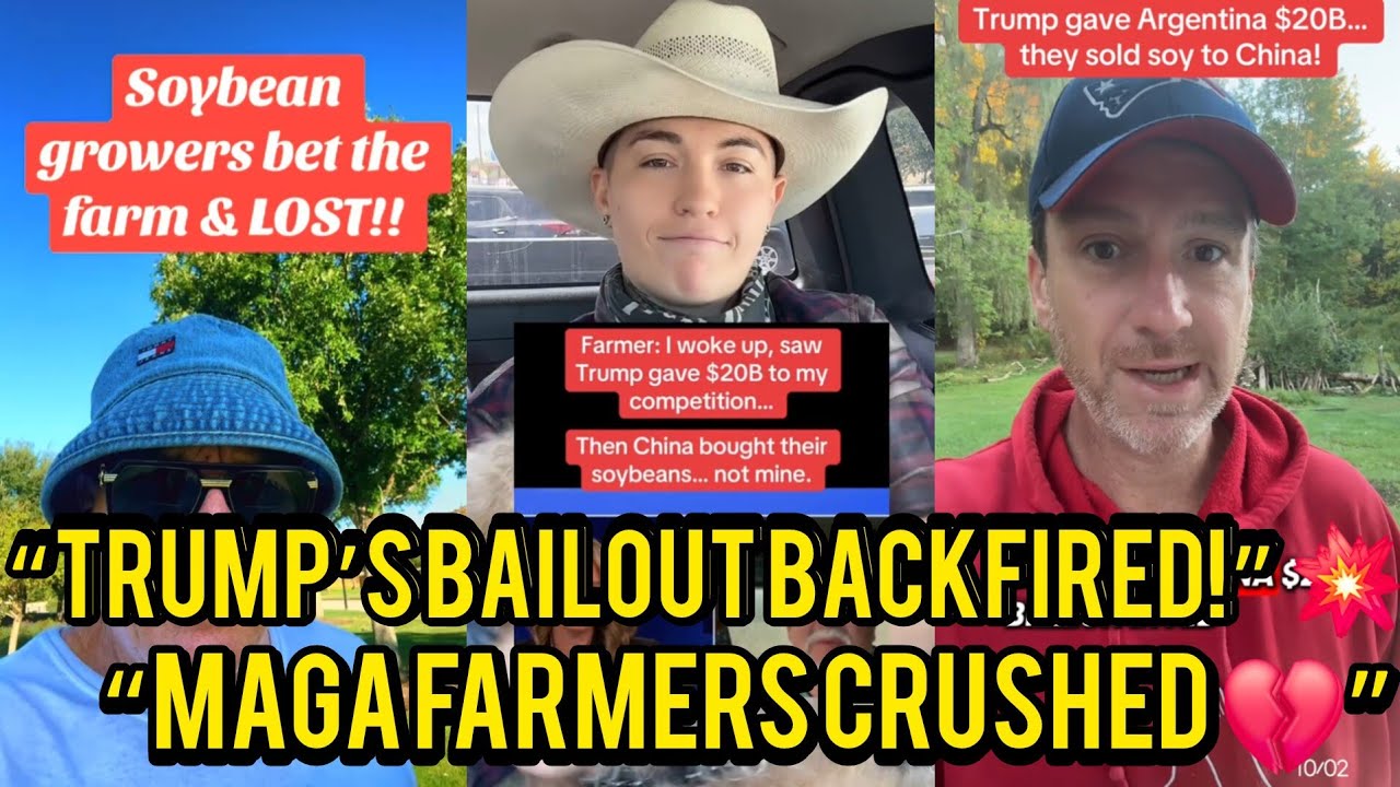 Trump's bailout backfires: MAGA farmers crushed, as Argentina takes the ...