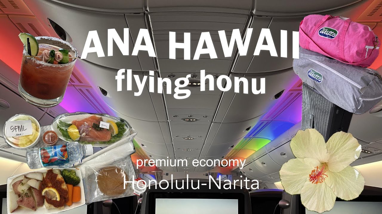 【HAWAII】ANA フライングホヌ ラウンジ紹介 機内食 プレミアムエコノミー ANAラウンジ 暮らすように過ごすハワイ 親子旅 ...