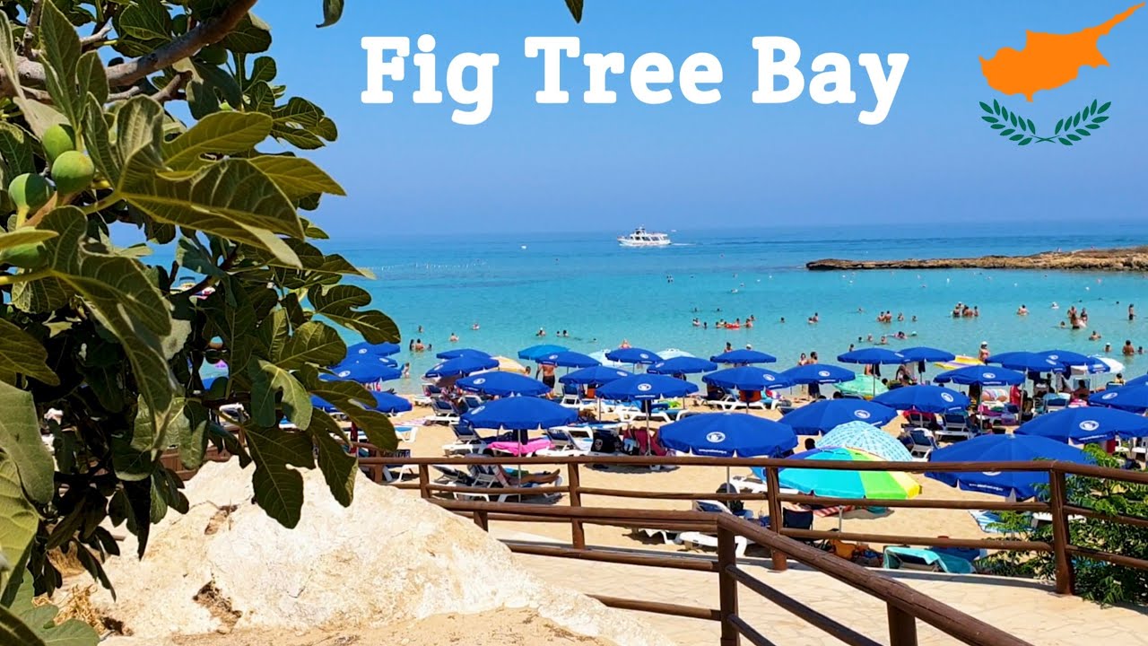 Fig Tree Bay Protaras - YouTube