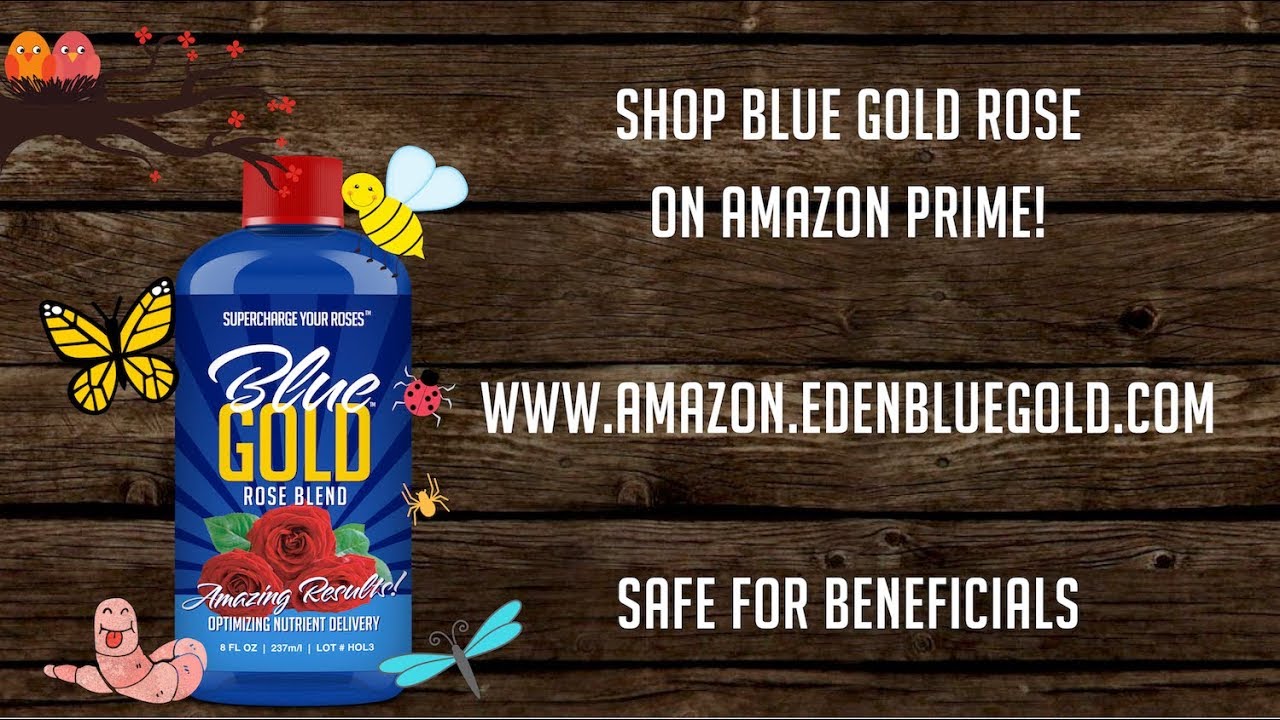 Eden Blue Gold on Honey Bee Awareness Day 2018 - YouTube