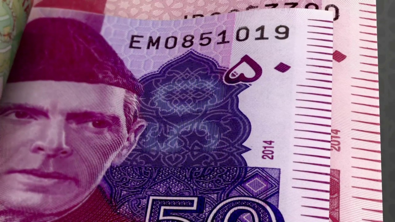 Pakistani Currency Notes 100