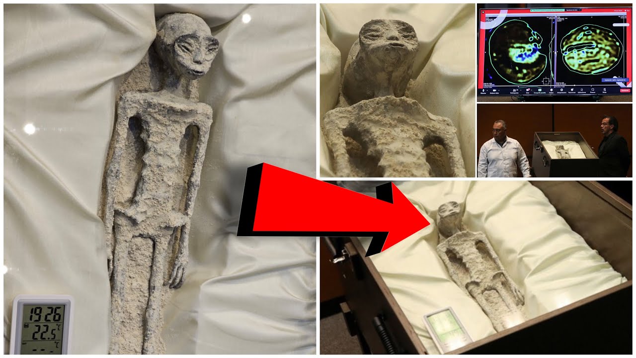 THIS IS CRAZY! Alien Bodies Revealed During Congress Hearing In Mexico ...