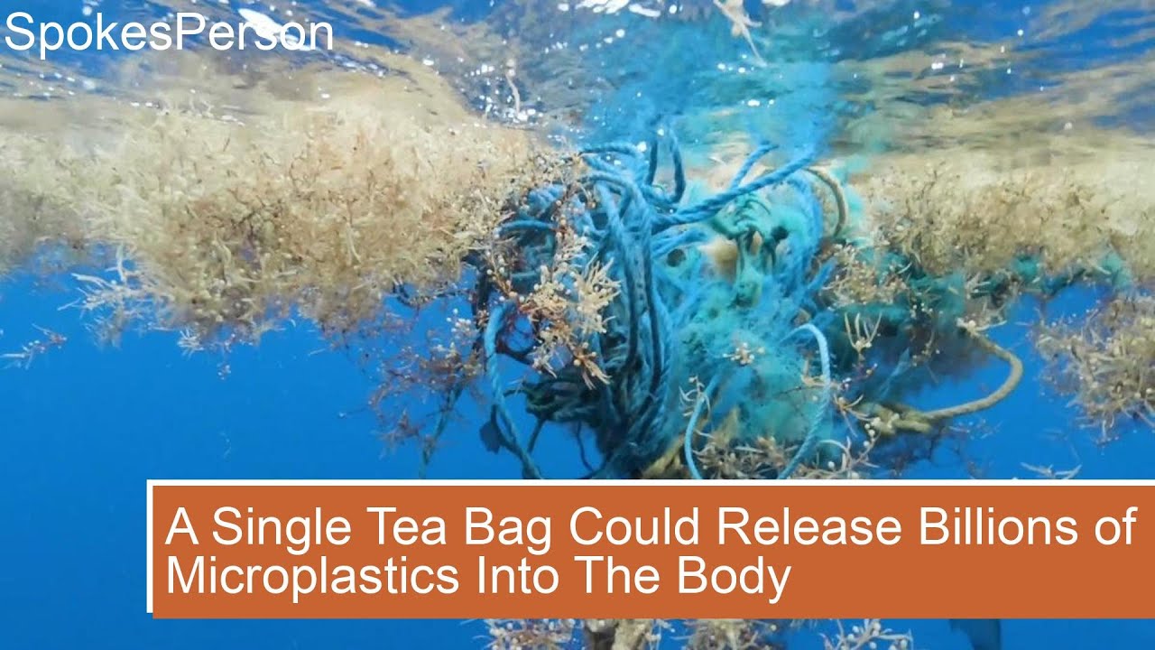 A Single Tea Bag Could Release Billions of Microplastics Into The Body ...