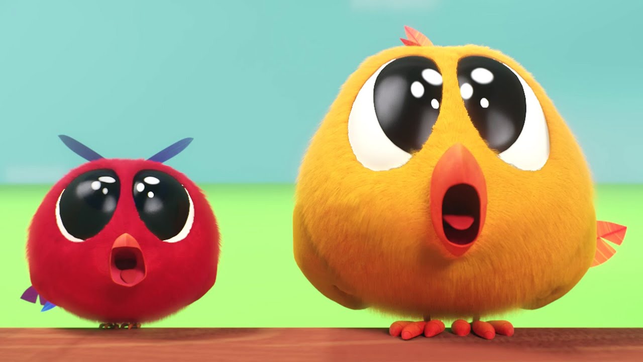 Where's Chicky ? 😍 CHICKIES AND HENS - NEW episodes in HD - YouTube