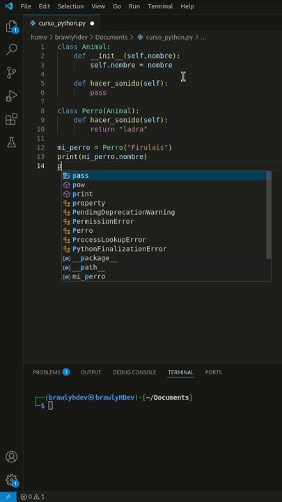 Python: Herencia y polimorfismo (POO)| Curso 2025 #codingproject #programming #learnpython - YouTube