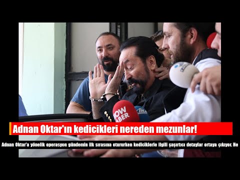 Adnan Oktar'ın kedicikleri nereden mezunlar! Çok şaşıracaksınız