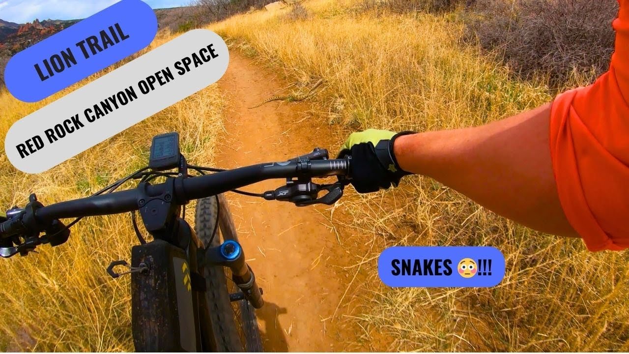 Huge Snake on Lion Trail in Red Rock Canyon Open Space - YouTube