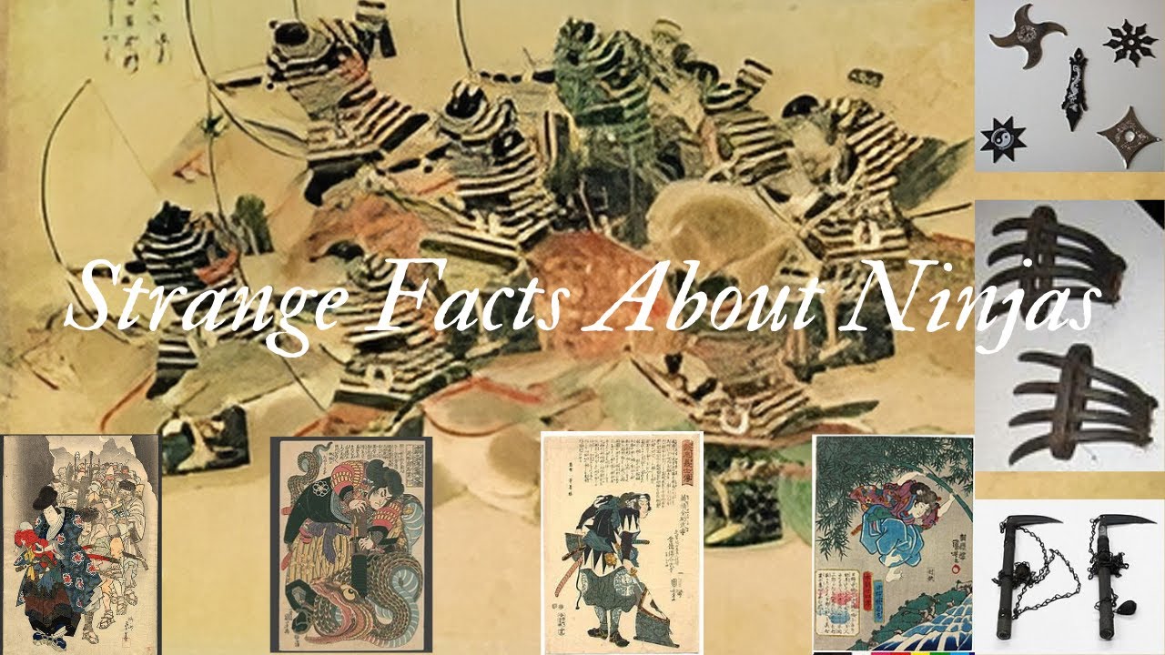 Strange Facts About Ninjas ||World Facts - YouTube