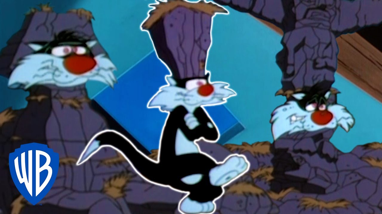 Looney Tunes | Sylvester's Unexpected Disguise | WB Kids - YouTube