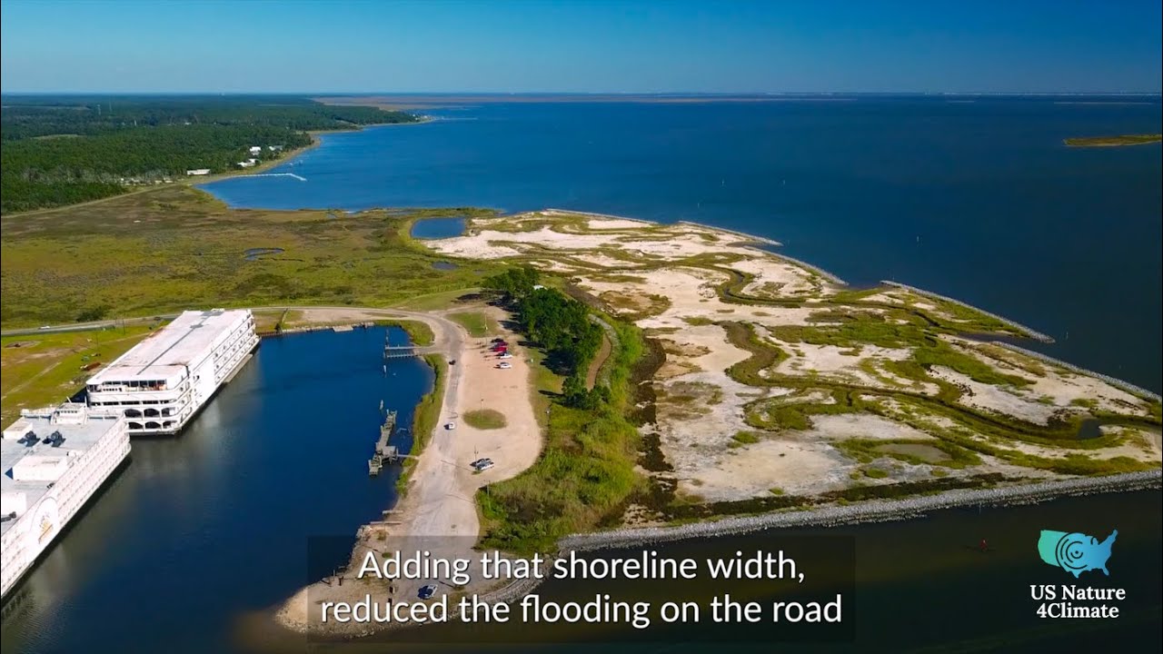 Lightning Point Shoreline Restoration Project - USN4C Building Ambition ...