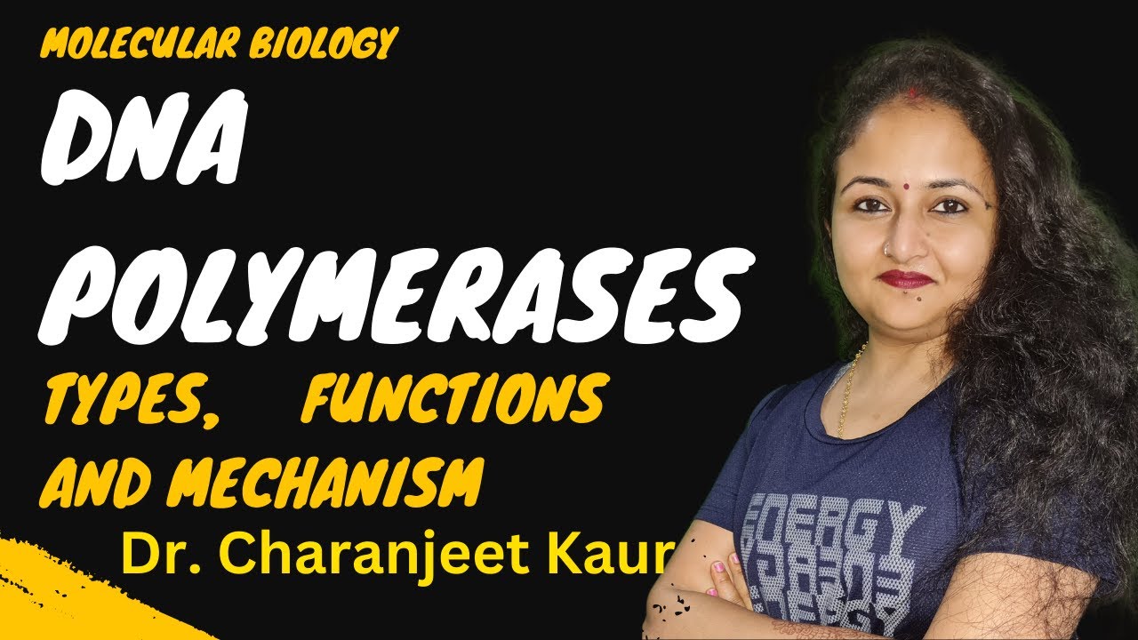 DNA Polymerase I Types and Functions | DNA Replication | Dr. Charanjeet ...