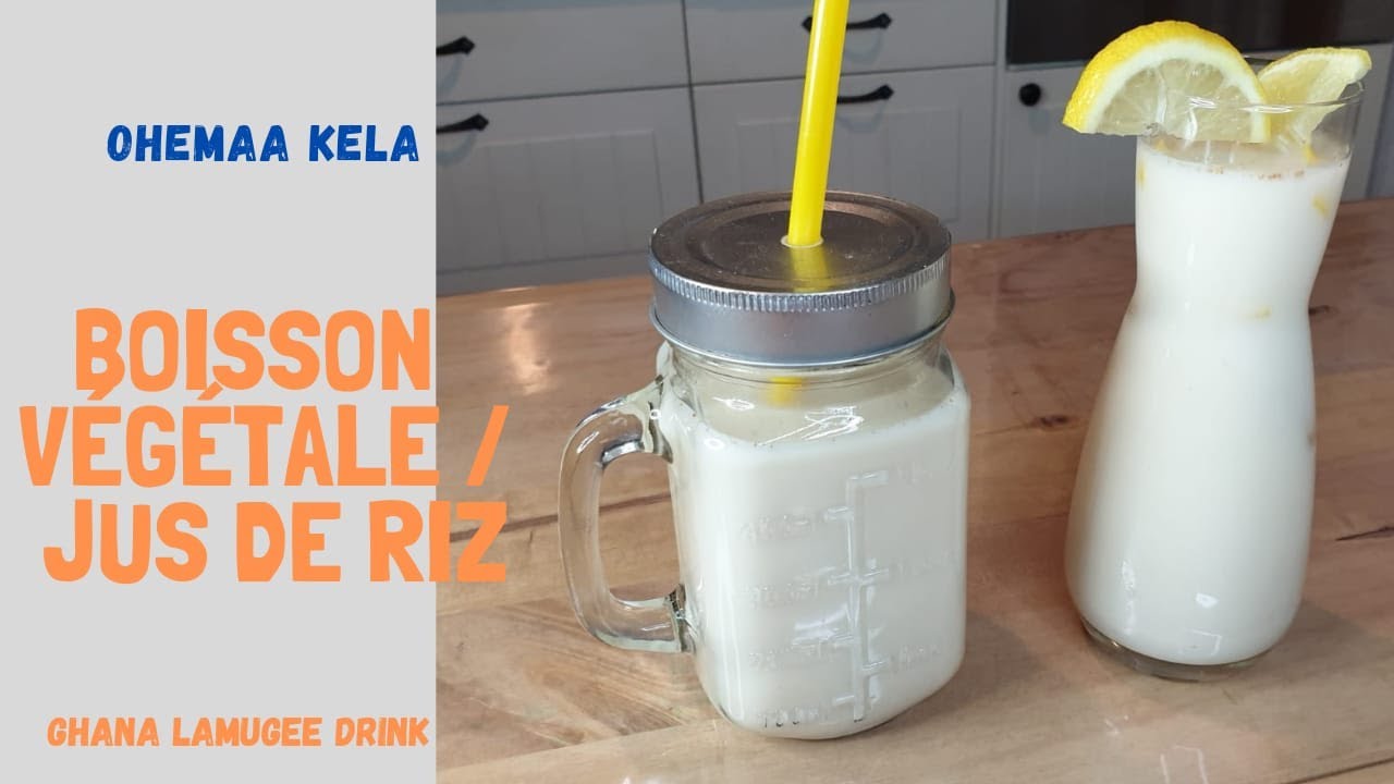 Jus de Riz/Boisson végétale à base de riz/lait du riz/Lamurgee/Spiced ...