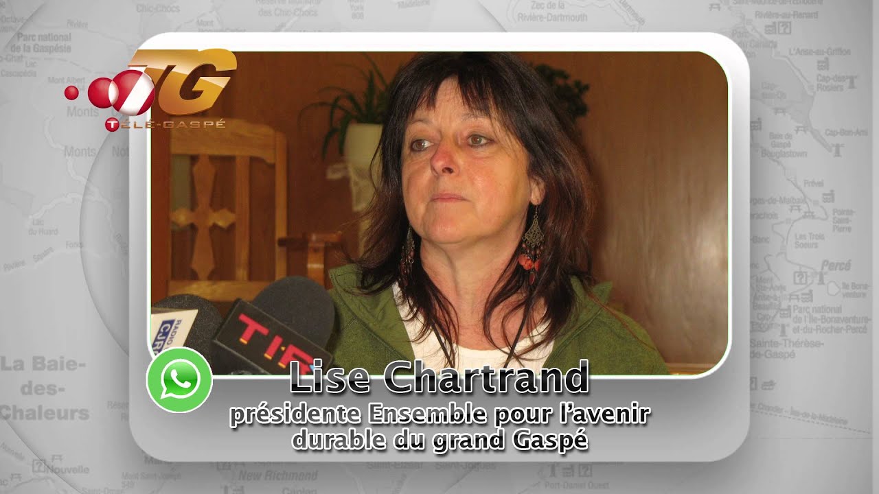 Entrevue Lise Chartrand - Alexandre Gagnon - 9 février 2015 - YouTube