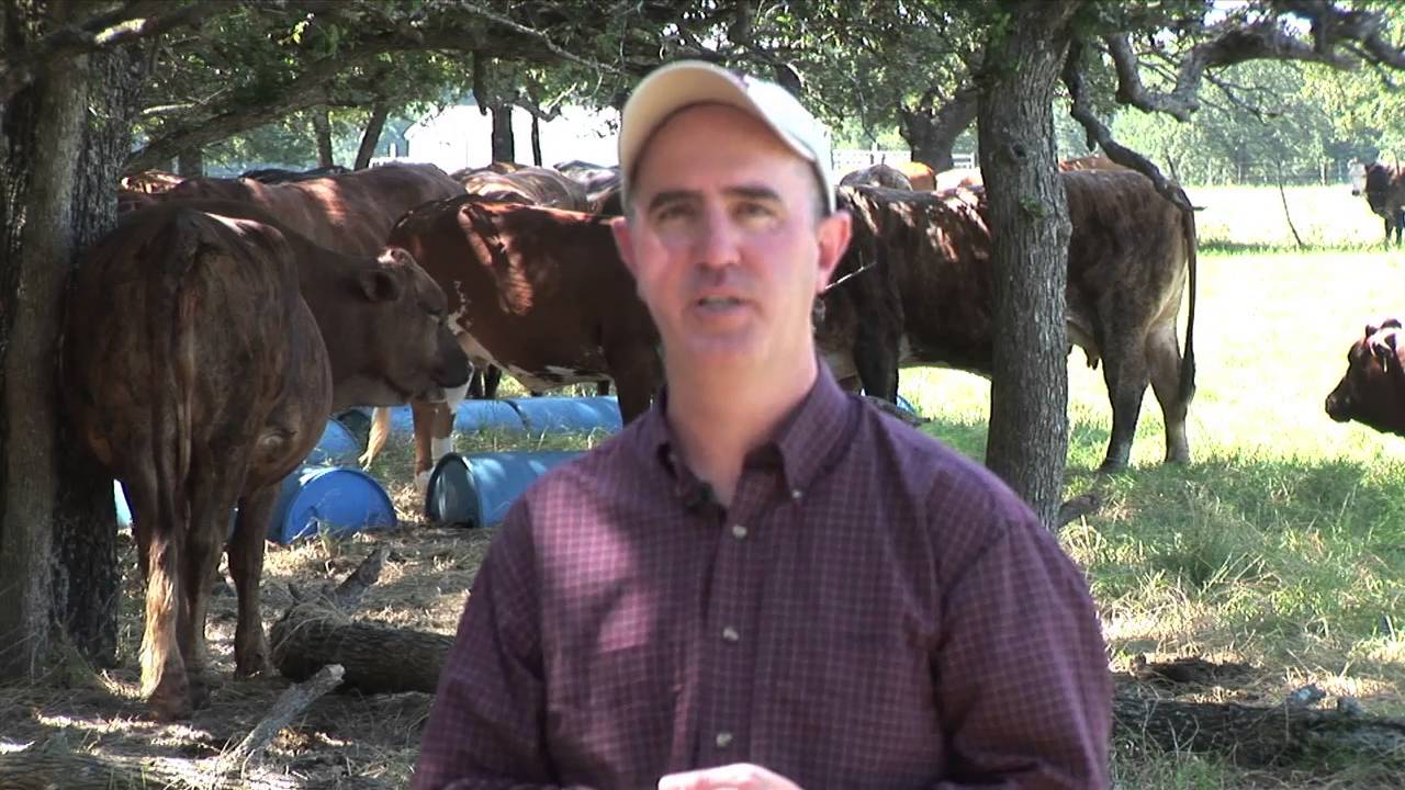 Jason Banta - BQA - Soil Fertility - YouTube