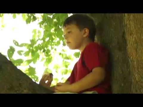 The Giving Tree - End Scene with Dialogue - YouTube
