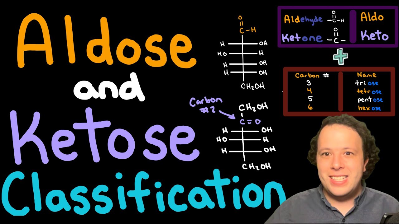 Carbohydrate Basics: Classifying Aldoses and Ketoses for Beginners ...