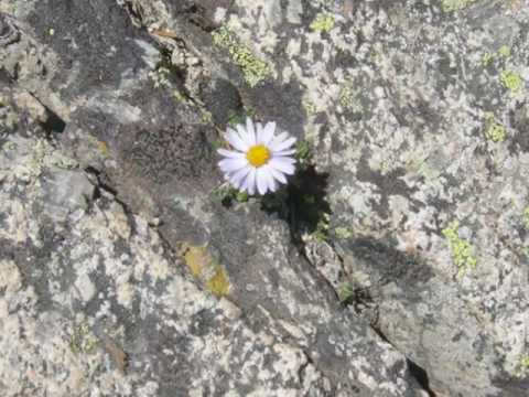 John Denver Honors Stuart Mace and Nature - YouTube