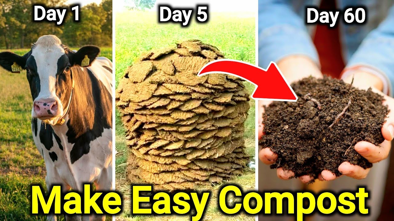 Fertilizer for Plants | How to make a Compost at home #fertilizer - YouTube
