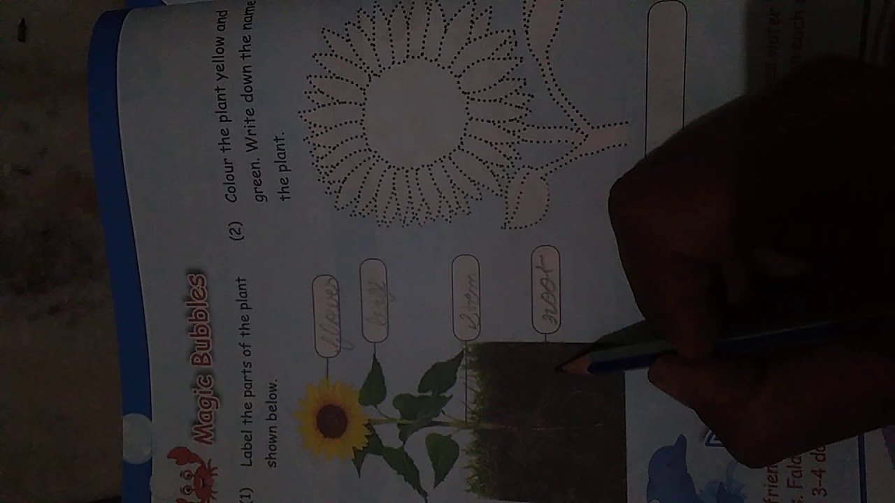 lesson 9 plants around us. book work - YouTube