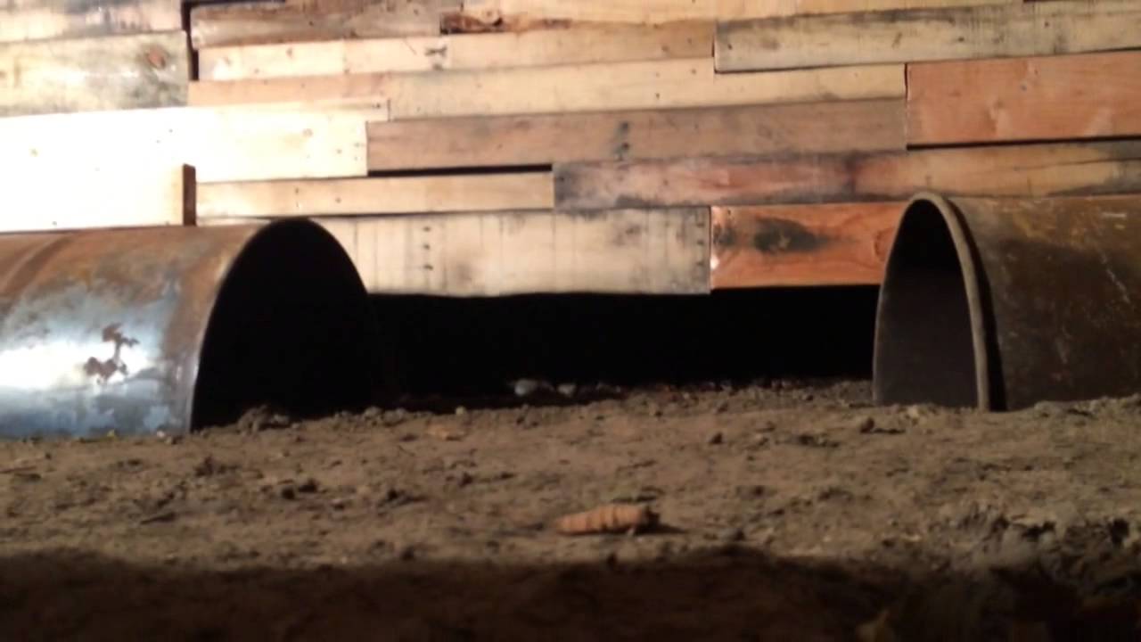Trench under bell bench - YouTube