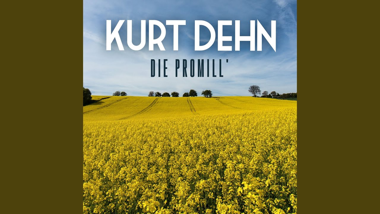 Die Promill YouTube die-promill-youtube